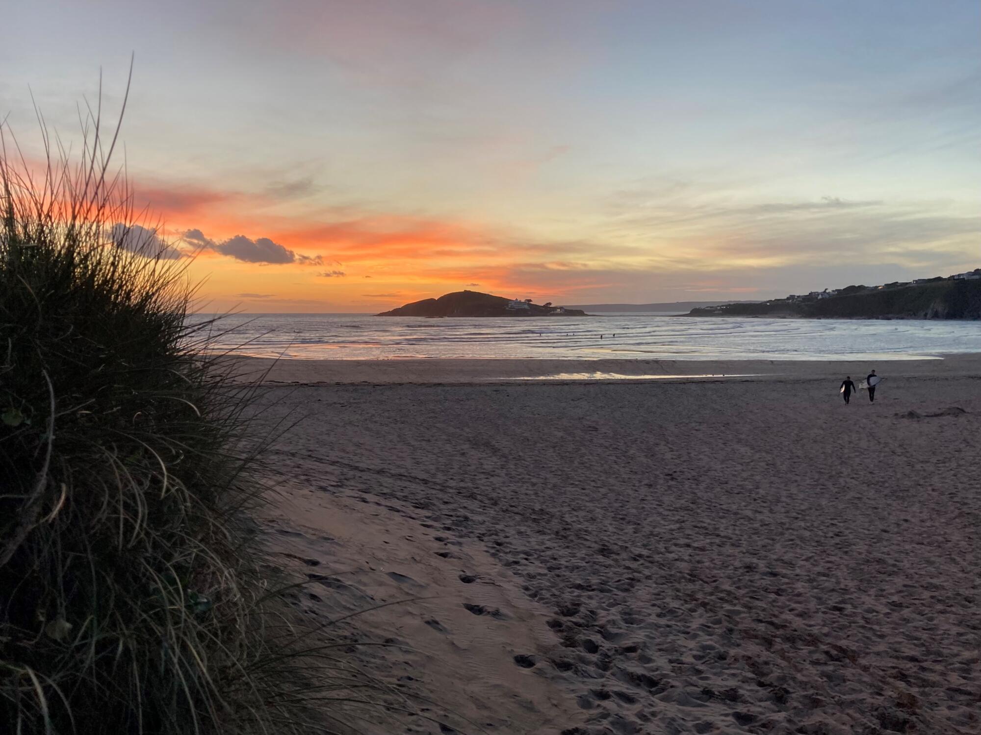 Devon Environment Foundation - enabling local nature restoration