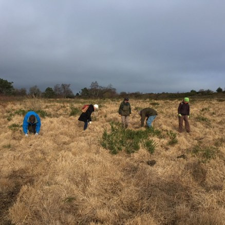 Grants Archive - Devon Environment Foundation